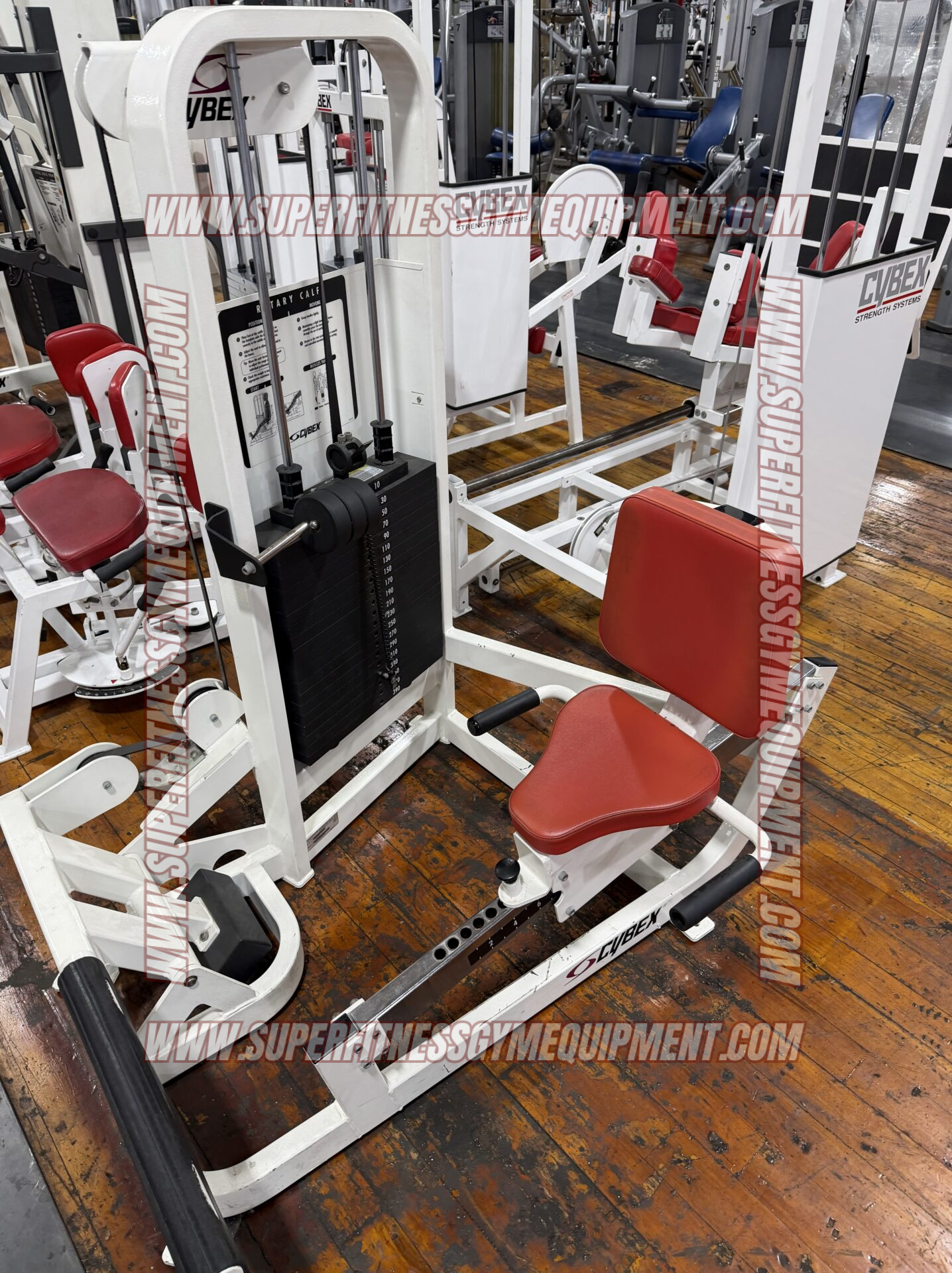 12 Piece Cybex Circuit With Life Fitness 5 Station Jungle Gym ...